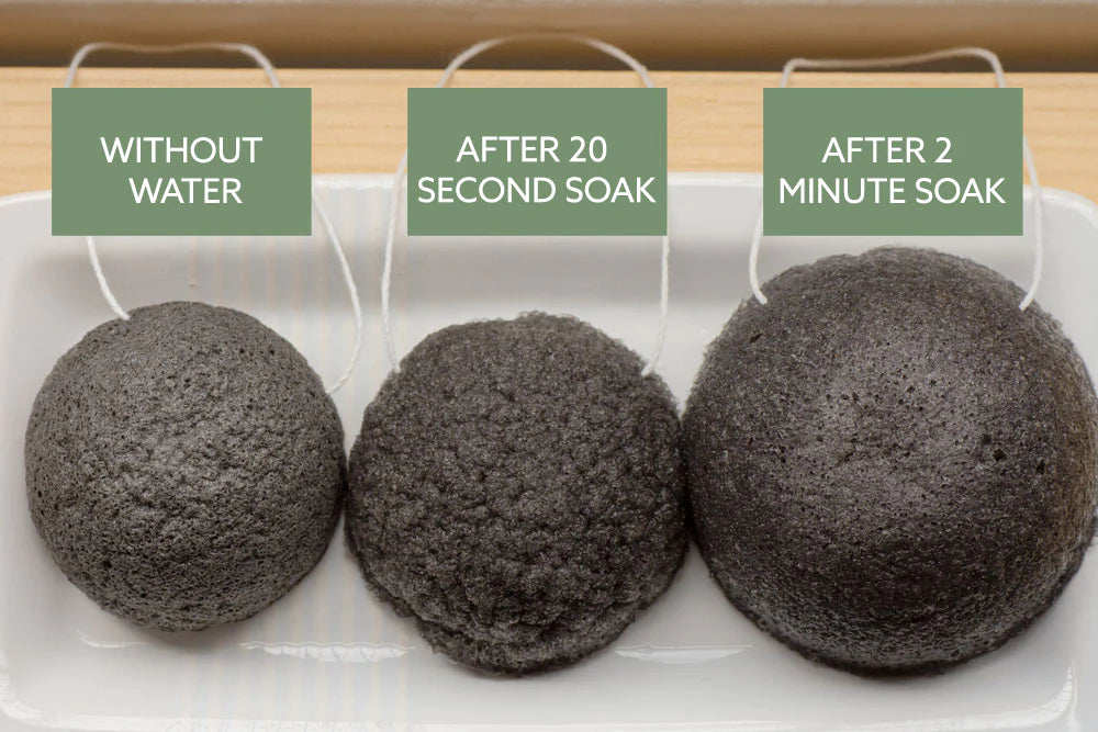 LUNA Charcoal Sponge – Forest Makers